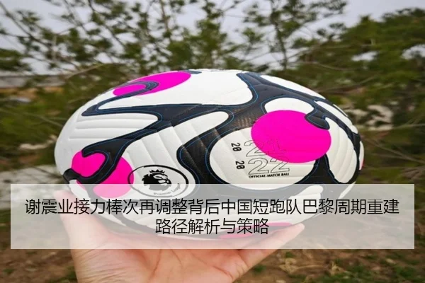 樊振东反手相持质量回升 奥运单打席位竞争再起波澜 - 必一运动